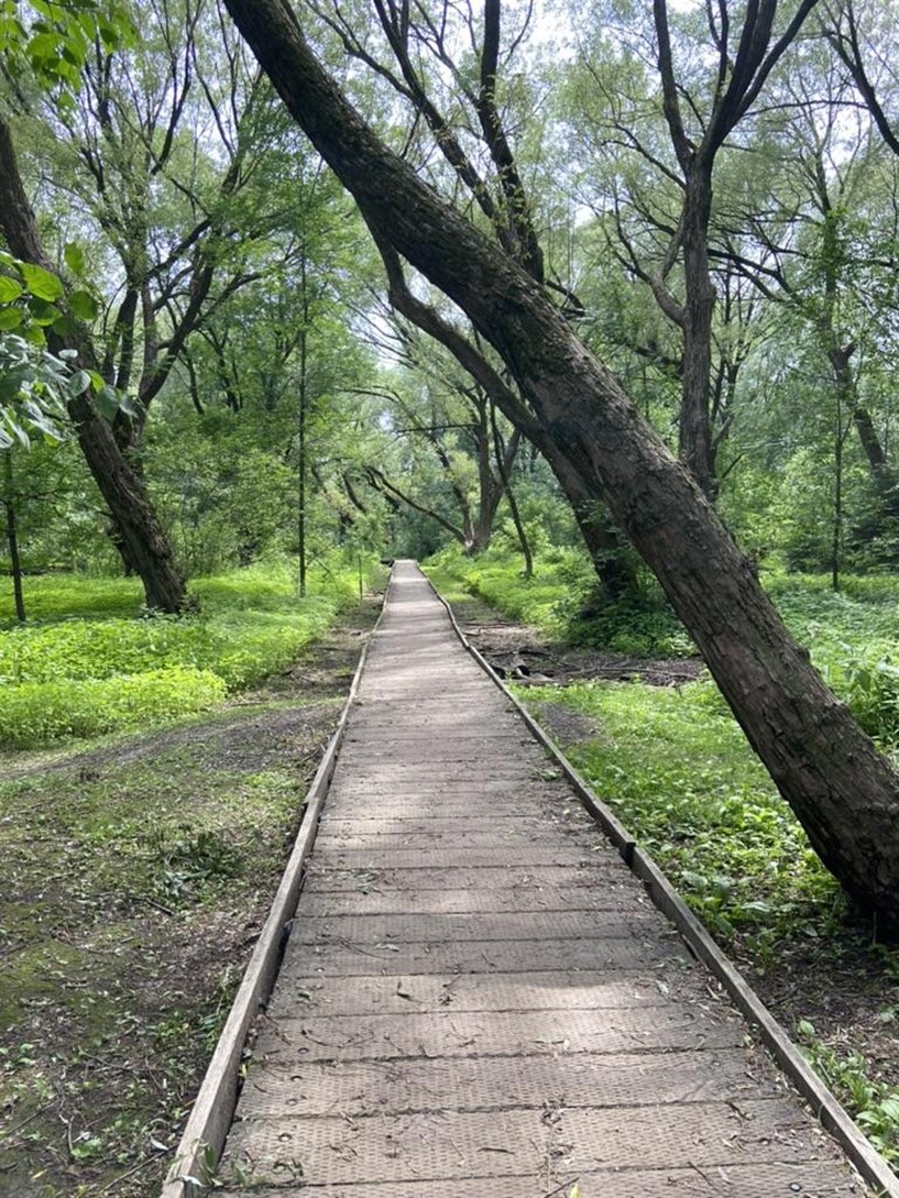 Parks and green spaces - Universal Accessibility Guide